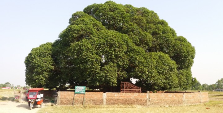 पर्यटनको केन्द्र लुम्बिनी यस्ता छन लुम्बिनीका प्रर्यटकीय स्थल - Lumbini ...